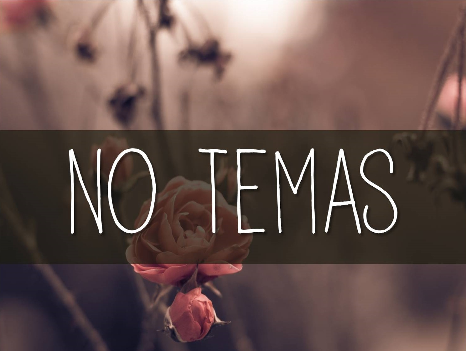 No temas!!! – ERES BELLA